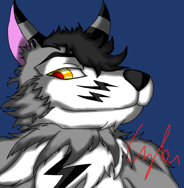 Lightizer headshot 2 - ibisPaint