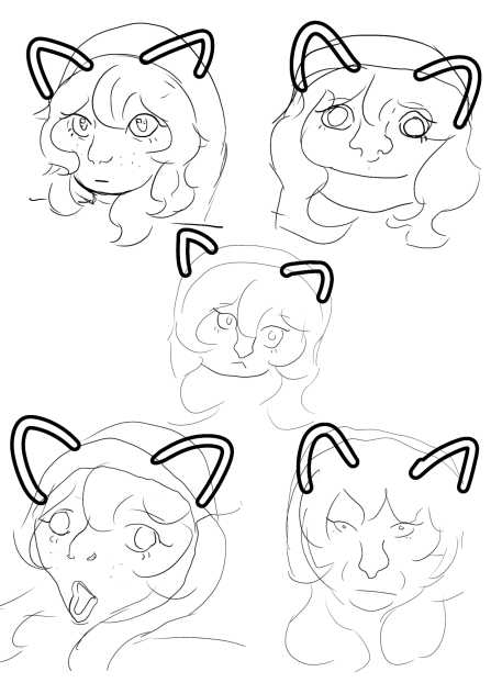 cat face theory - ibisPaint