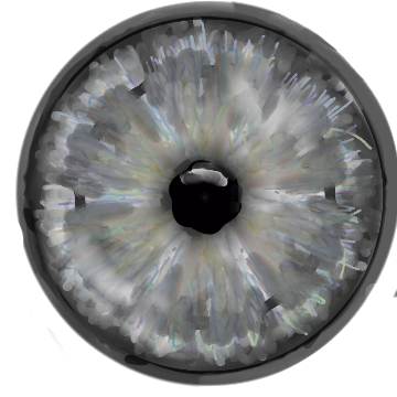 Grey eye with rainbow hue - ibisPaint