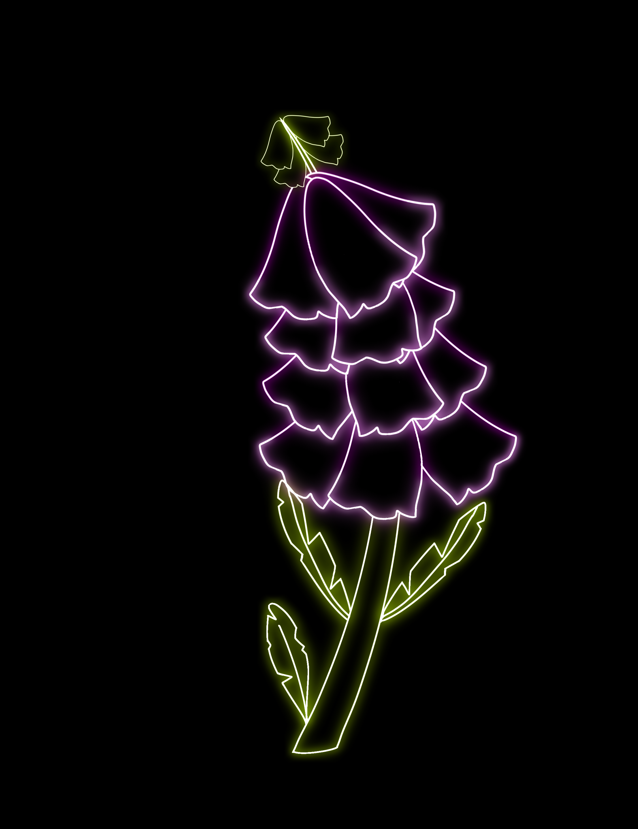 Neon Foxglove - ibisPaint