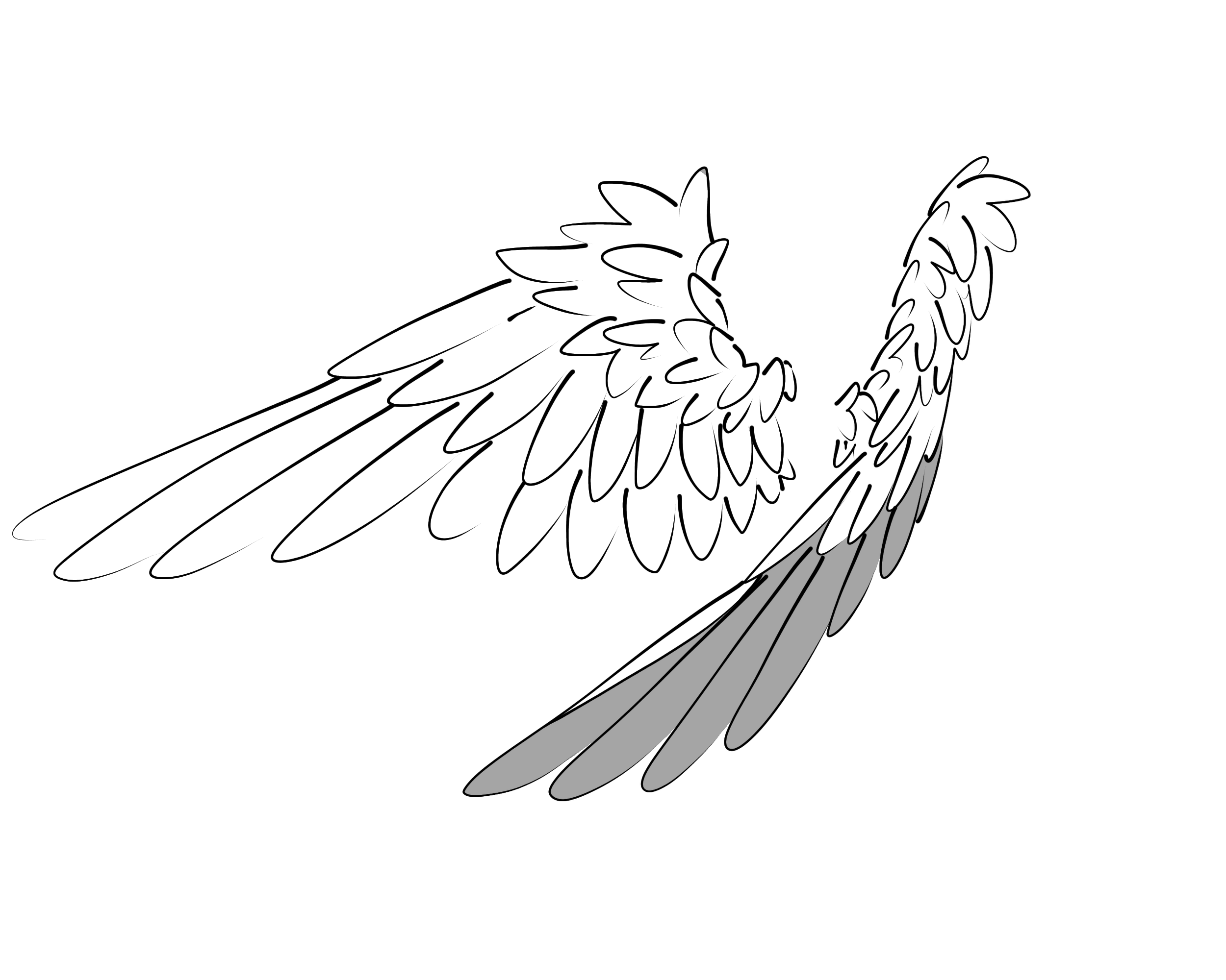 wings #2 - ibisPaint