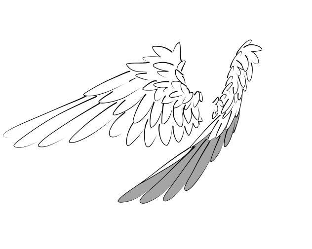 wings #2 - ibisPaint