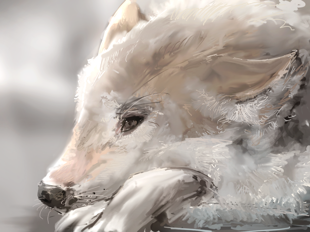 wolf - ibisPaint