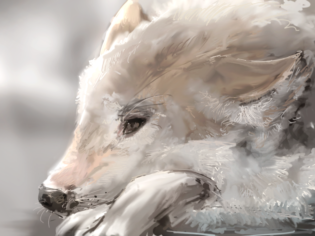 wolf - ibisPaint