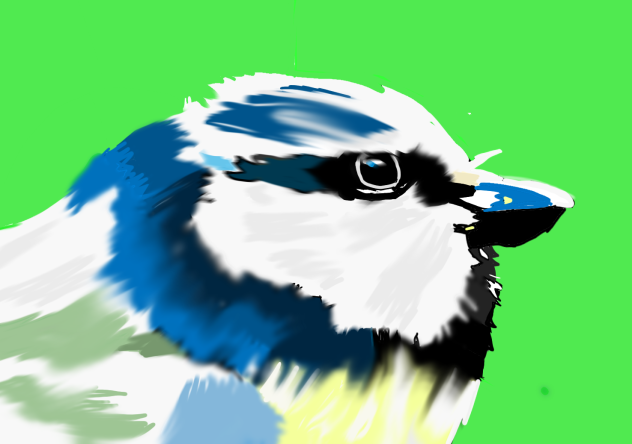 Drawing A Bird - ibisPaint