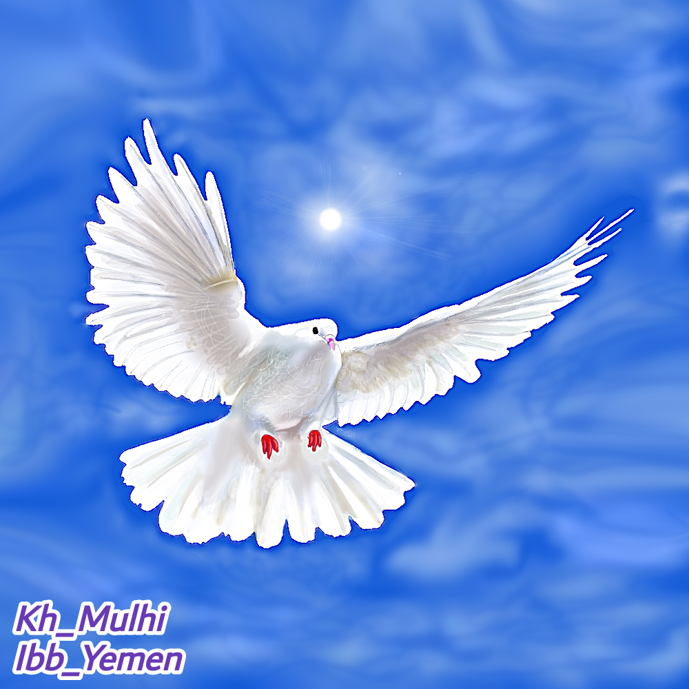 Dove of peace - ibisPaint