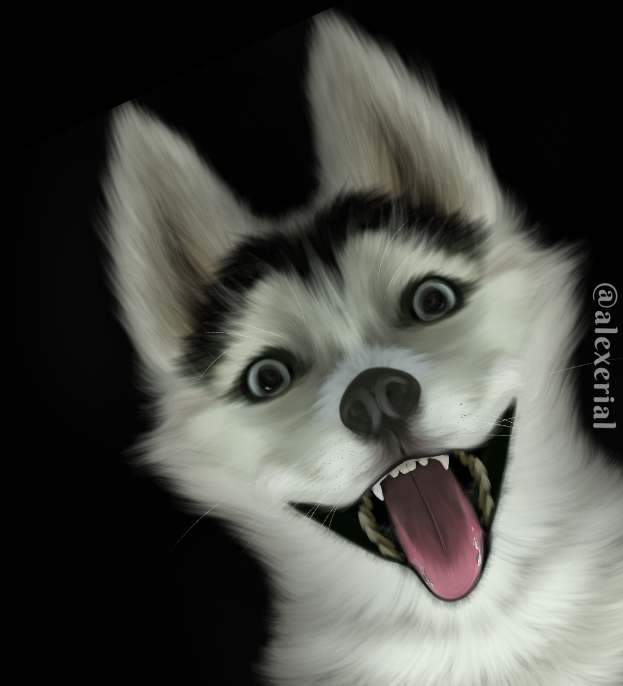 jumpscare - ibisPaint