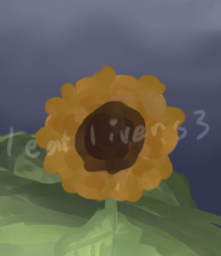 Sunflower🌻 - ibisPaint