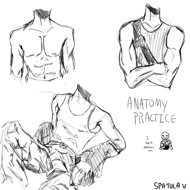 Anatomy Practice (Male) - ibisPaint