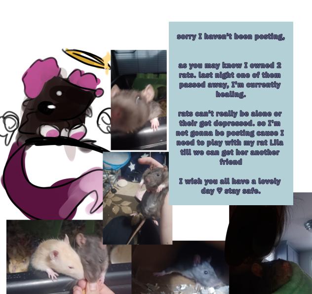 !UPDATE! - ibisPaint