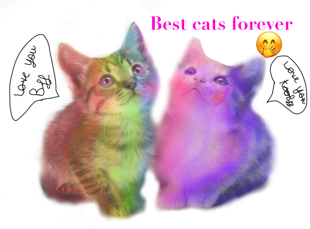 ~BEST CATS FOREVER~ - ibisPaint