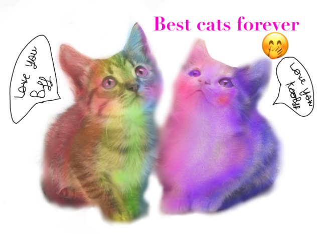 ~BEST CATS FOREVER~ - ibisPaint