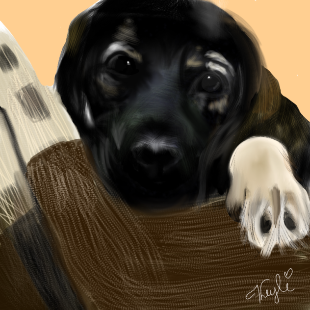 mi mejor amigo - ibisPaint