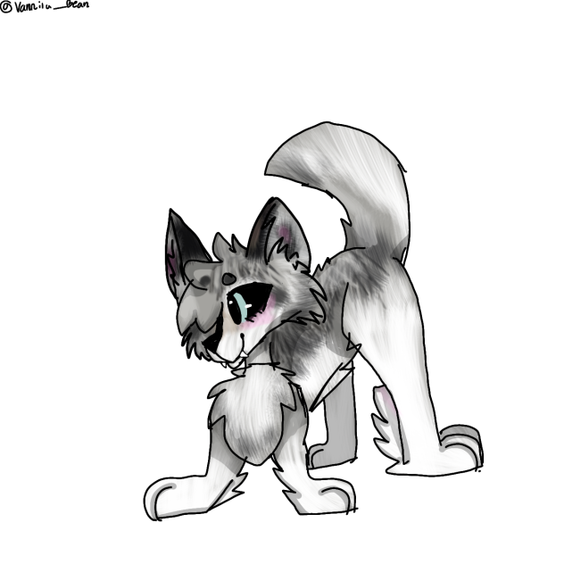 grey wolf artwork for @Harley Durant - ibisPaint