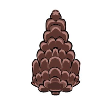 Pine cone - ibisPaint