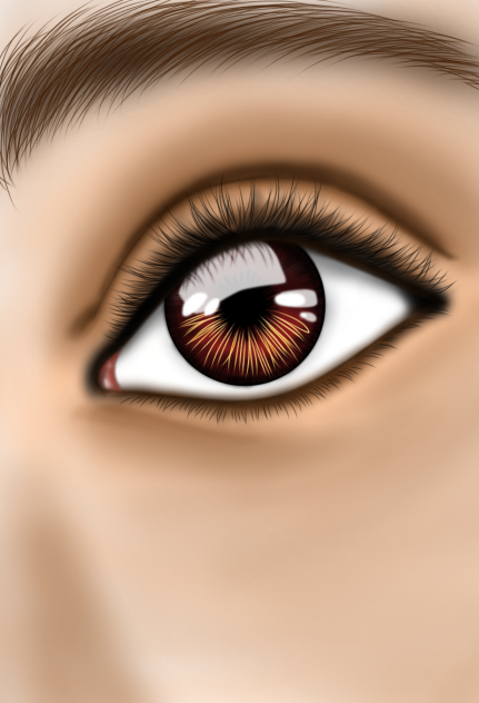 Brown eye - ibisPaint