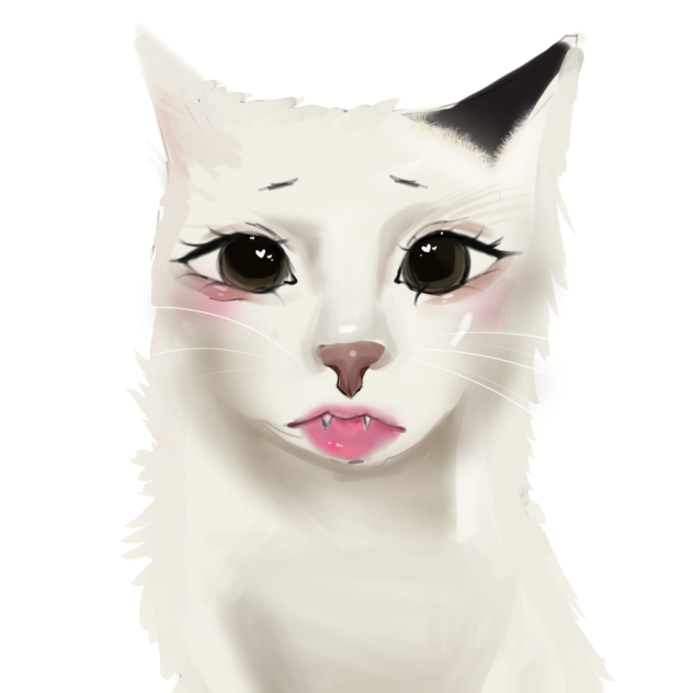 Cat - ibisPaint