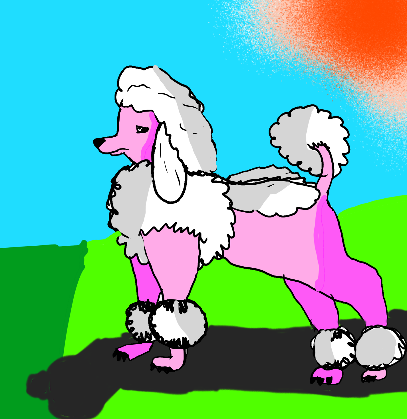 Poodle - ibisPaint