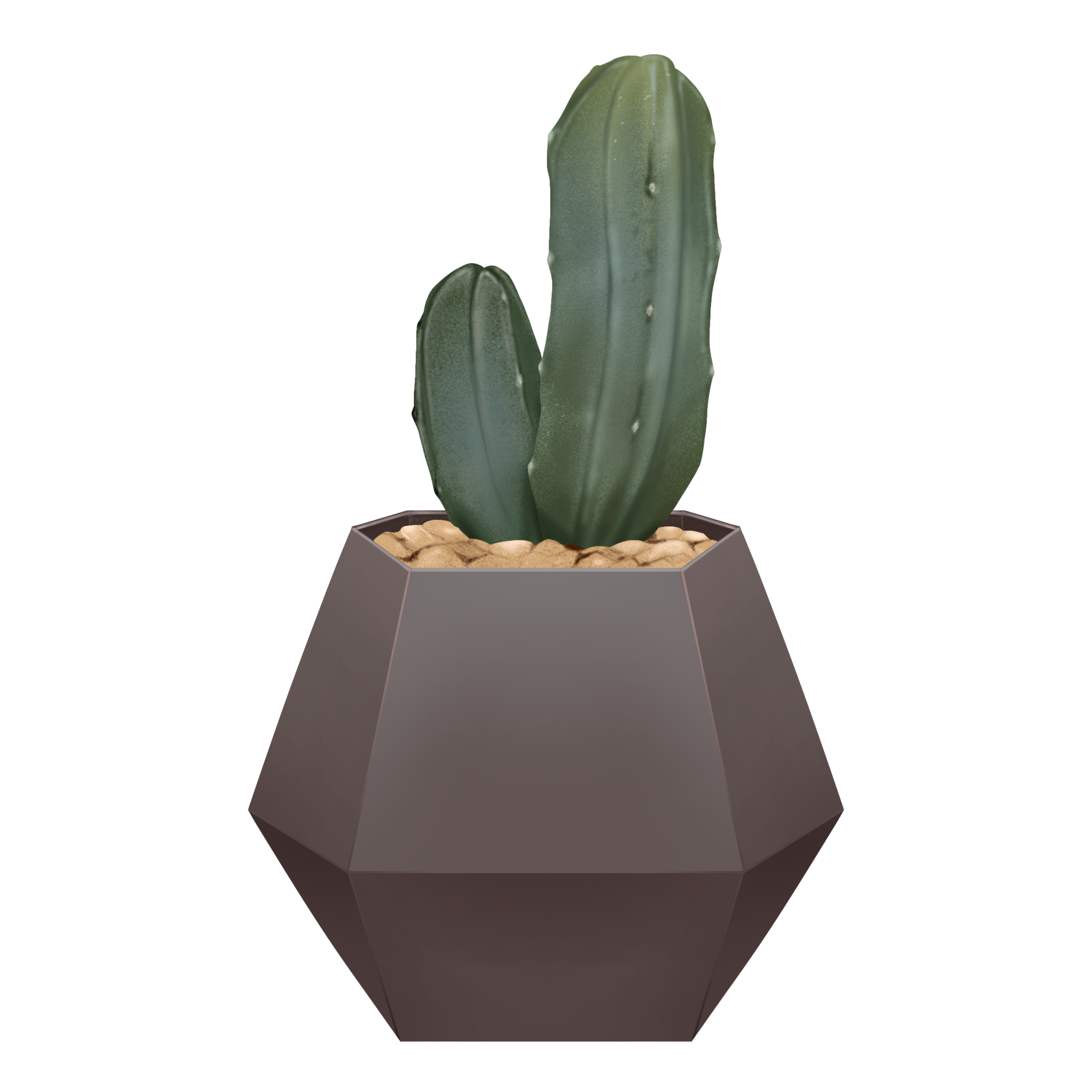 cactus pot 2 - ibisPaint