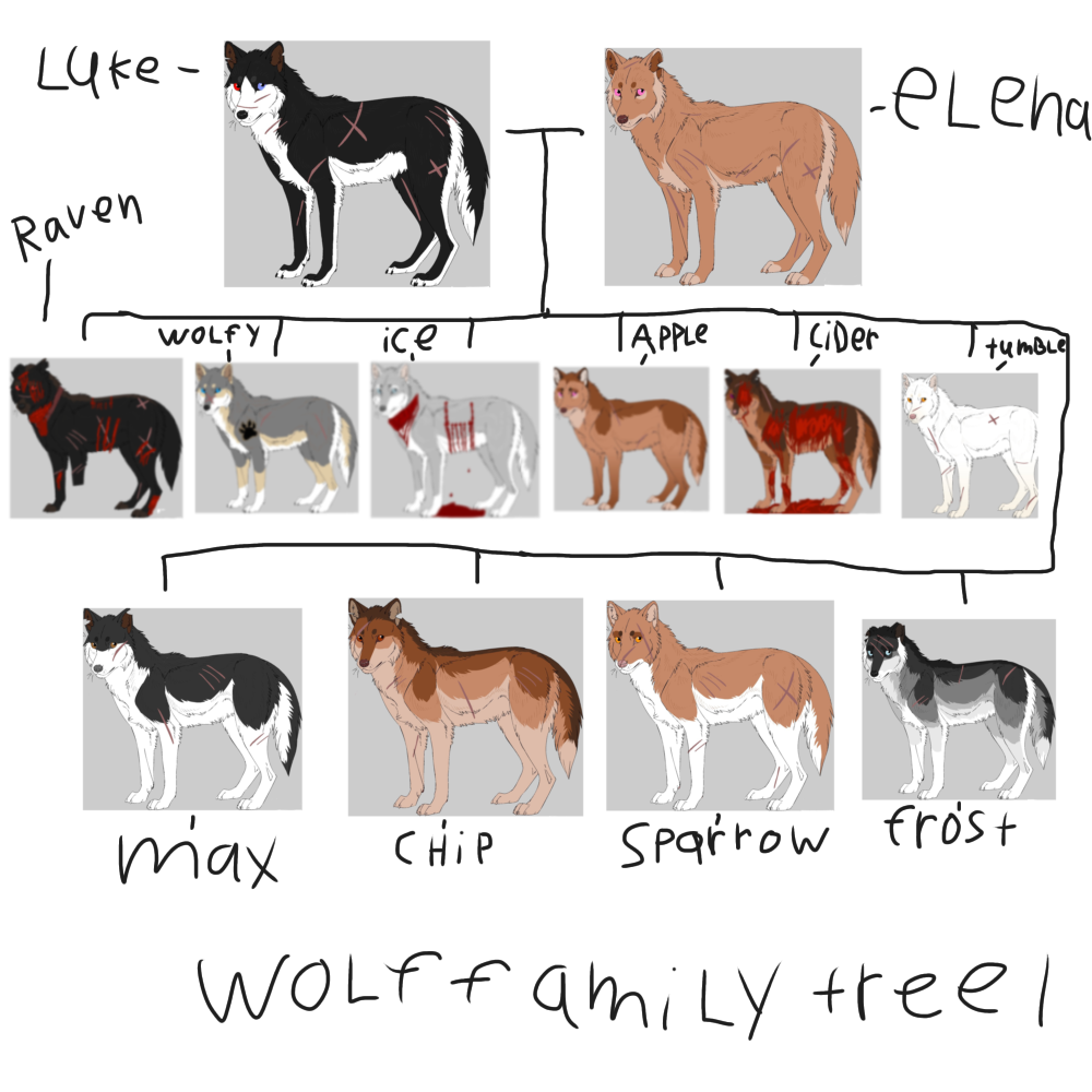 Wolf family tree 1 - ibisPaint