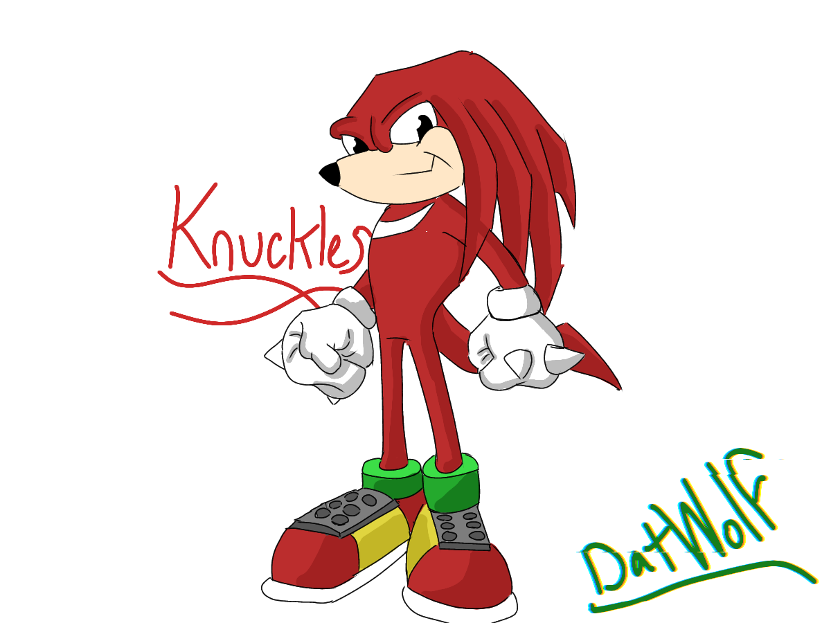 Knuckles - ibisPaint