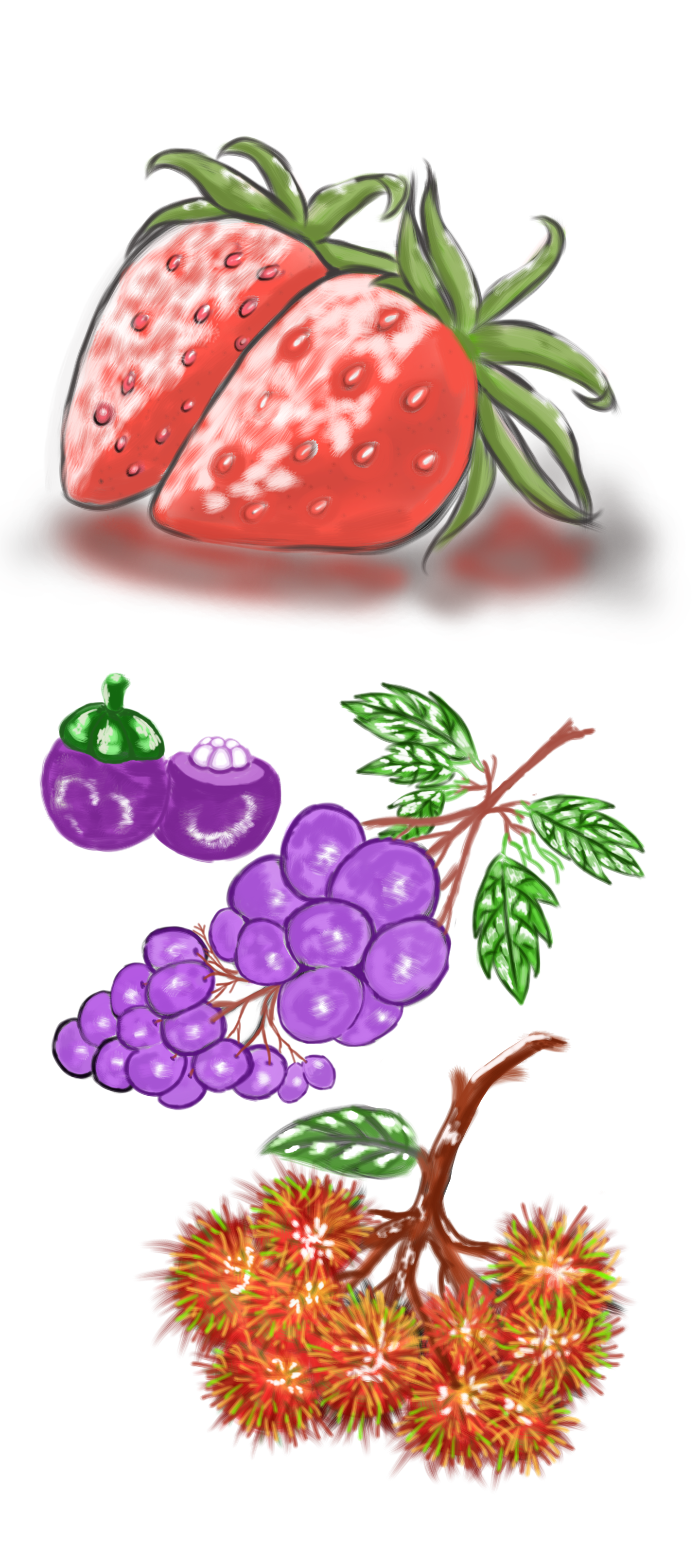 fruit - ibisPaint