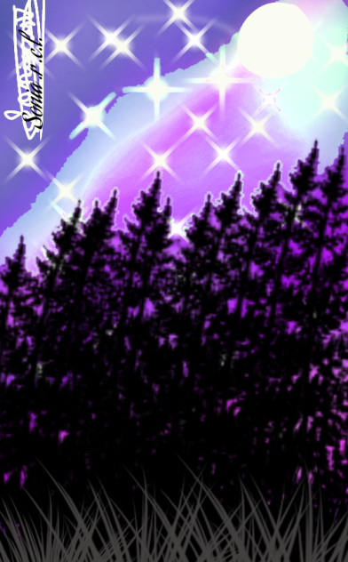 1 paisaje de noche - ibisPaint