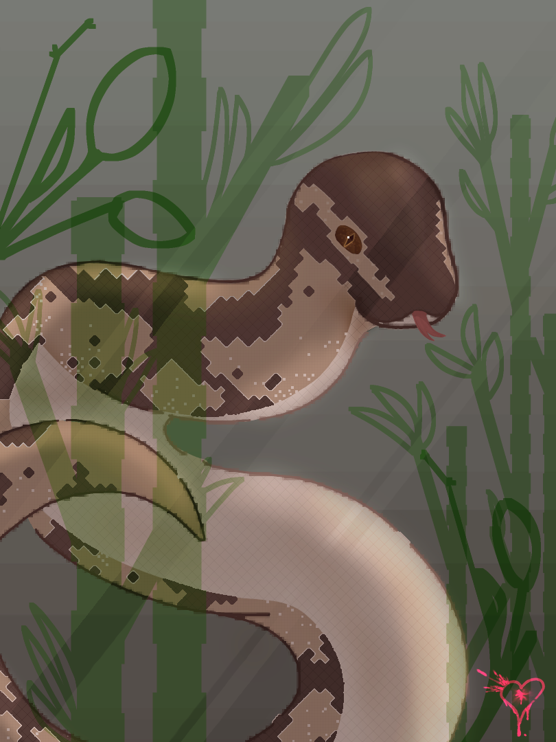 Pixel python - ibisPaint