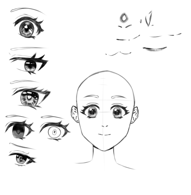 Female practice - ibisPaint