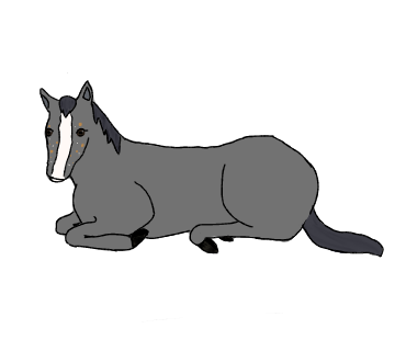 Echo Meadows - ibisPaint