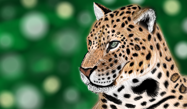 Leopard - ibisPaint