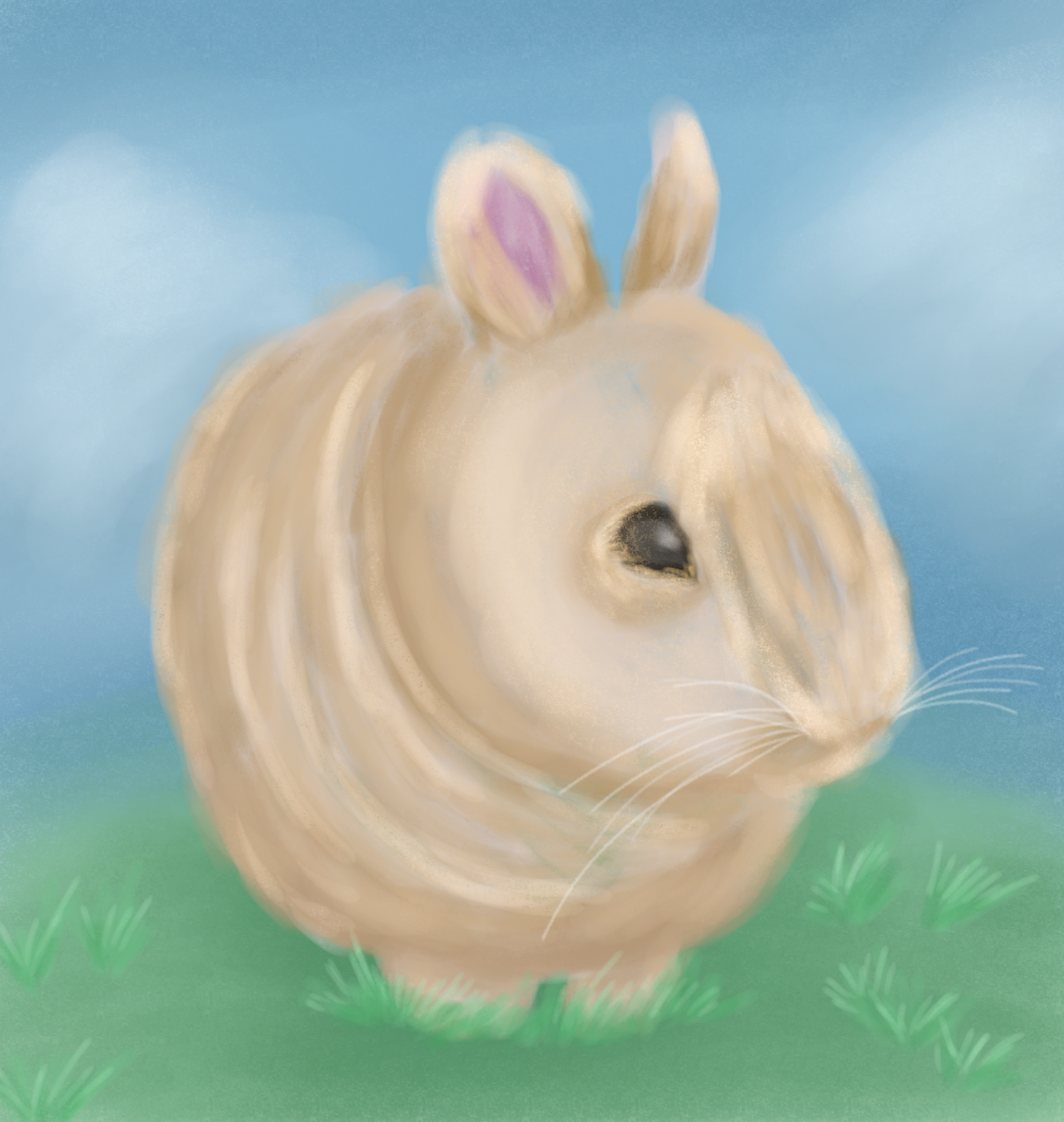 rabbit - ibisPaint