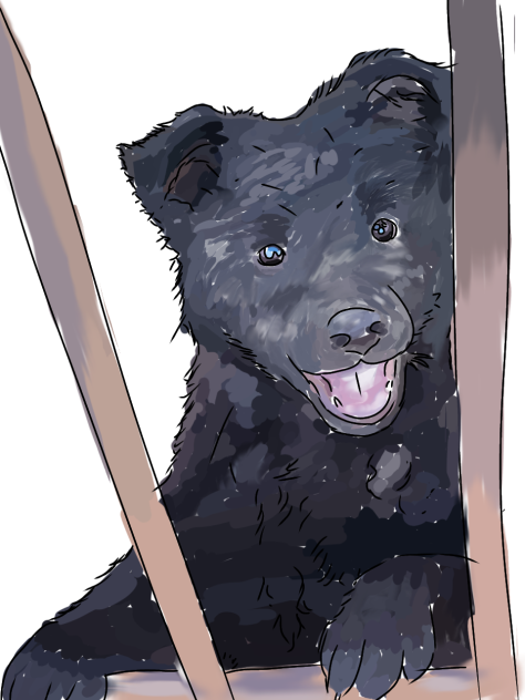 my dog - ibisPaint