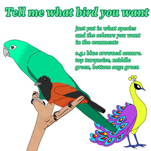 Bird ideas - ibisPaint