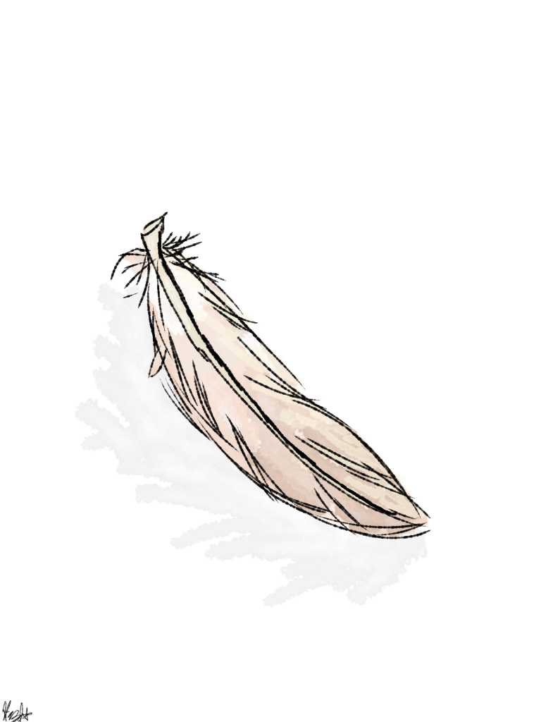 feather - ibisPaint