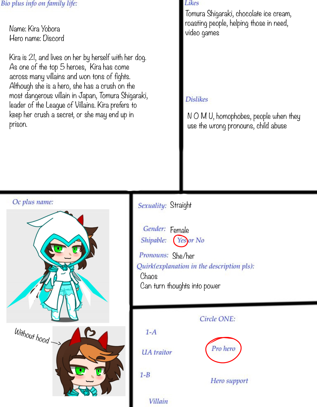 CS for Echo - ibisPaint