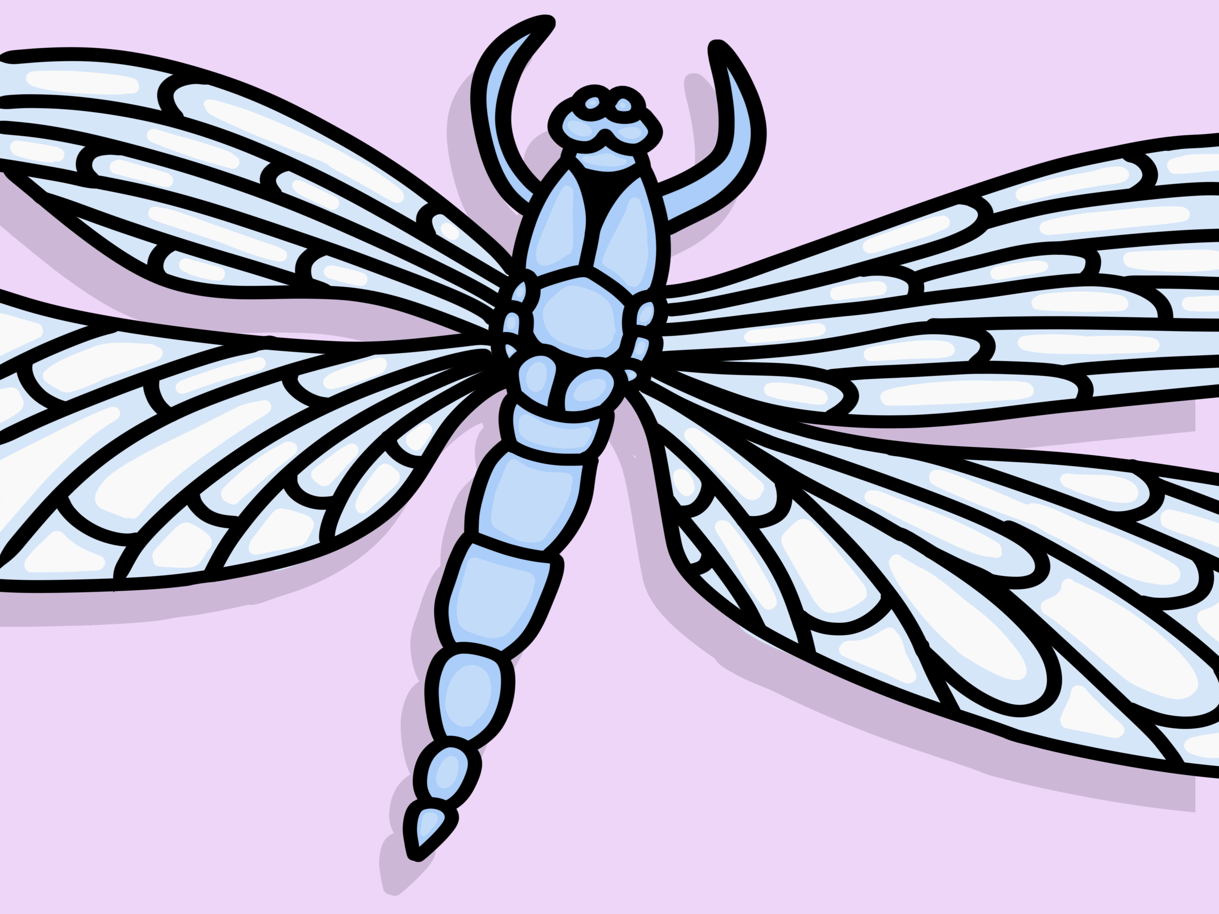 dragon fly - ibisPaint