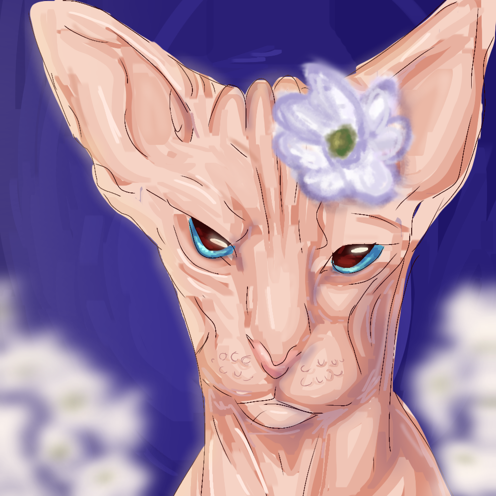 Evening beauty - ibisPaint