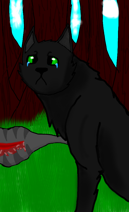 Sad Black Cat - ibisPaint