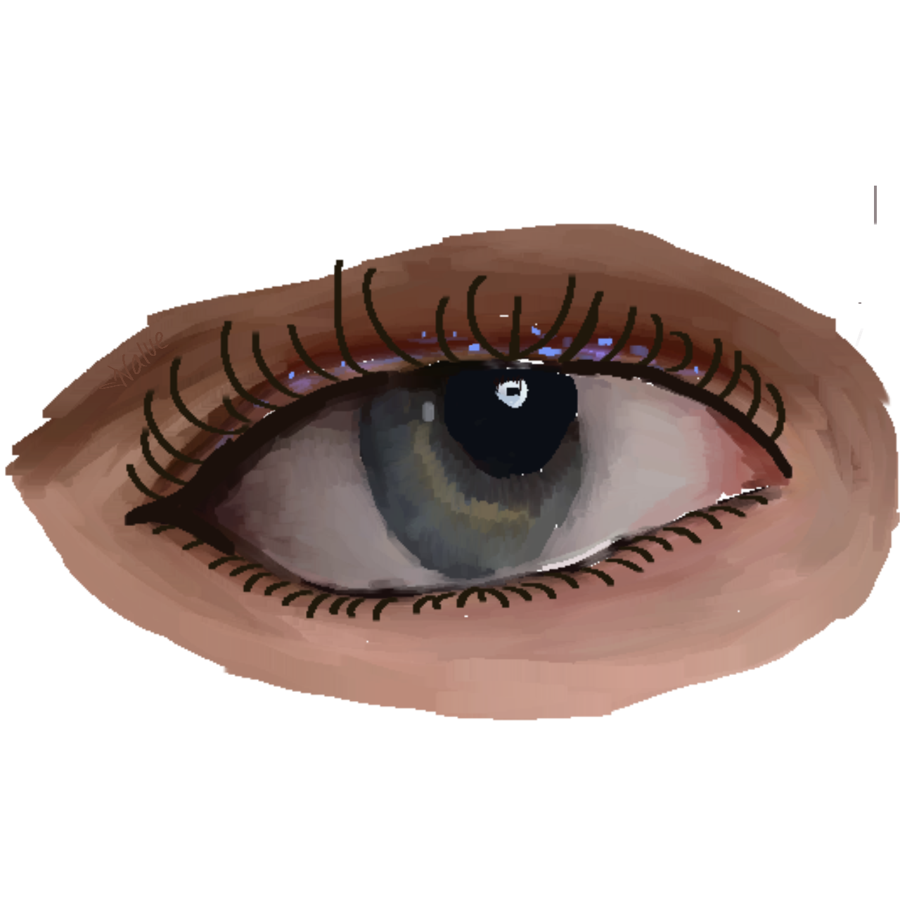 Natural Beauty - ibisPaint