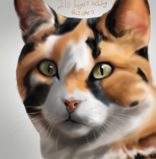 Calico Cat - ibisPaint