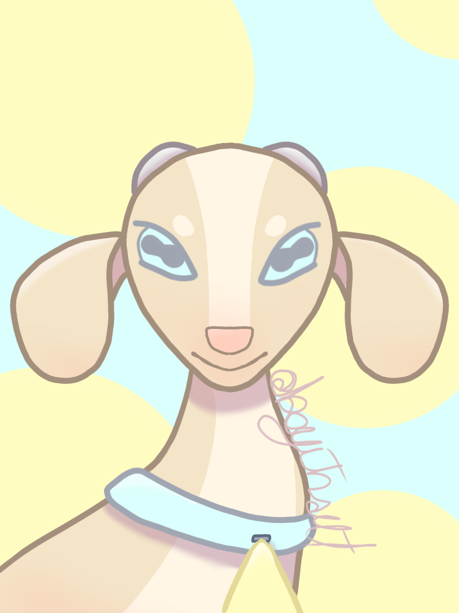 Goat - ibisPaint