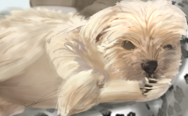 Pup comm - ibisPaint