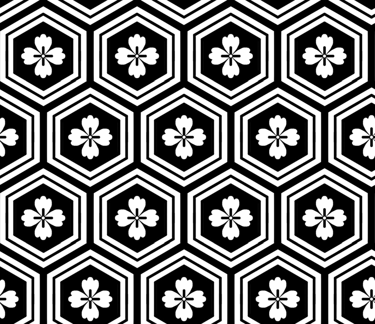 Kikko pattern 2 a - ibisPaint