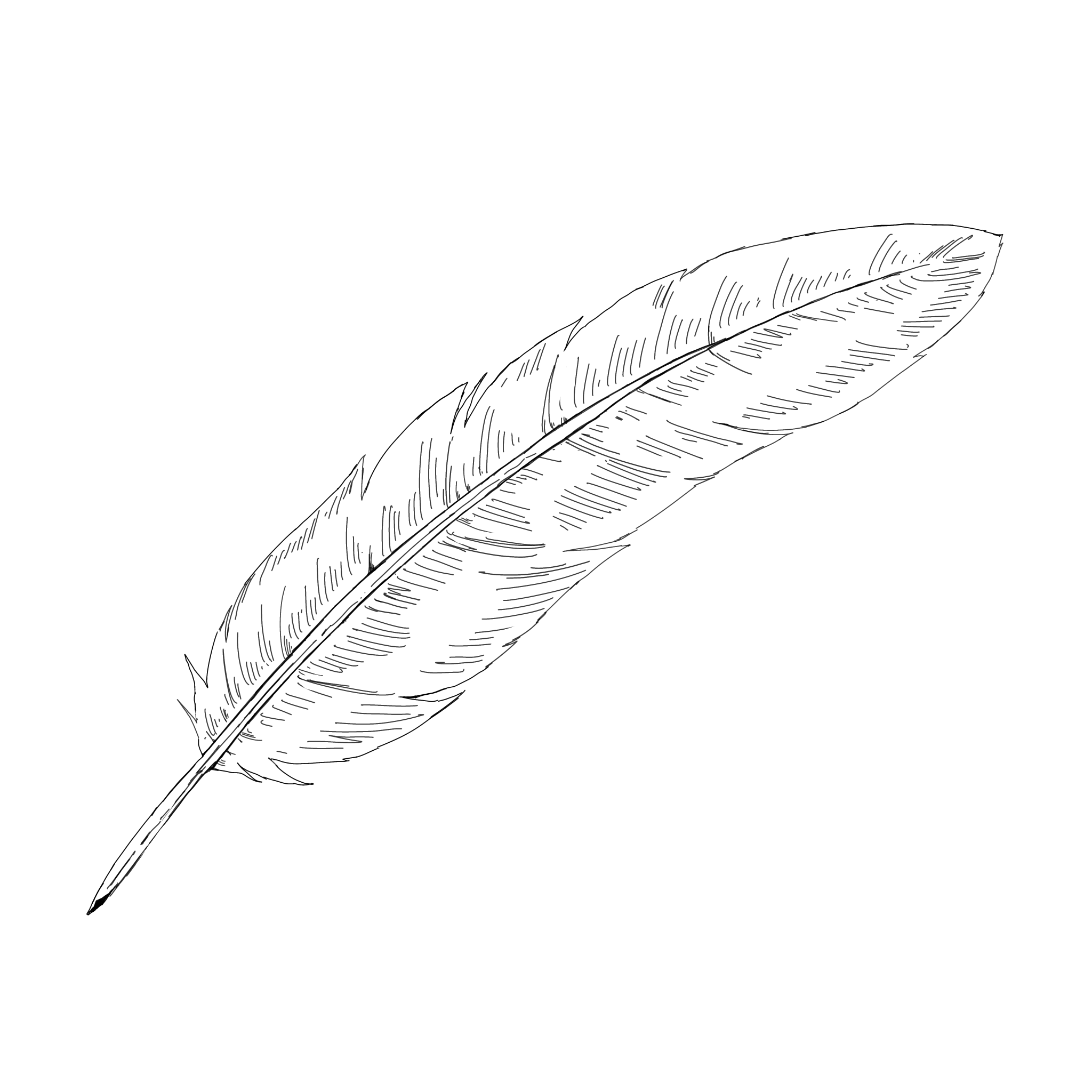 Feather - ibisPaint