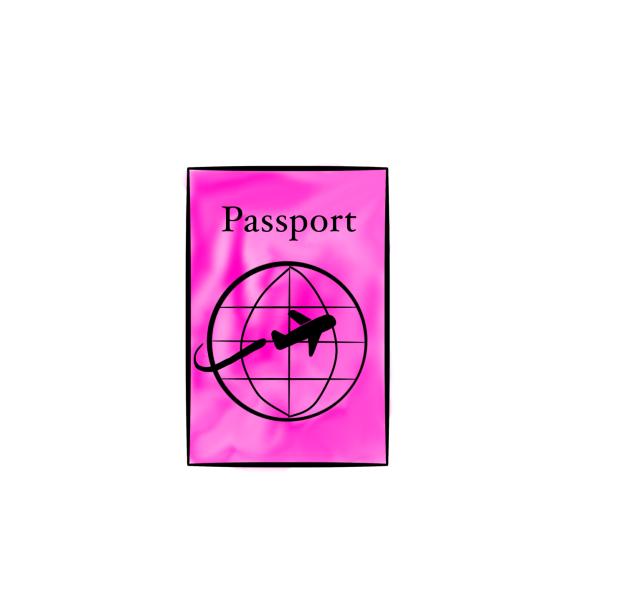 Y2K pink passport - ibisPaint