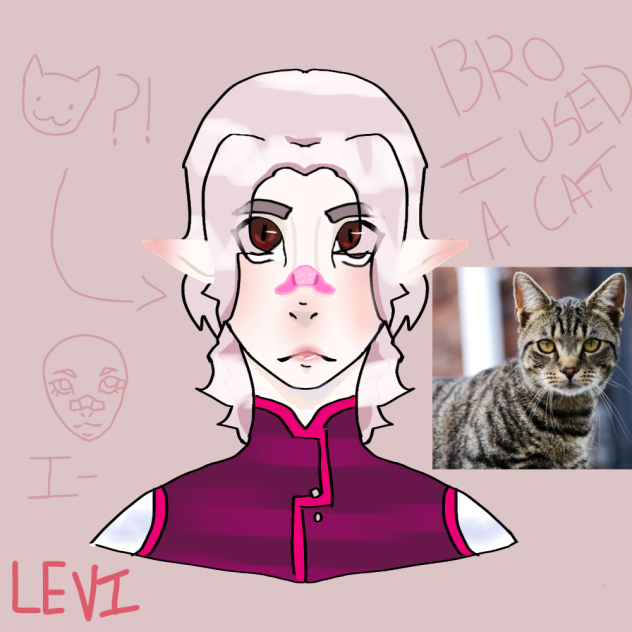 Face practice - ibisPaint