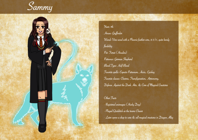 Gryffindor Student [Speedpaint] - ibisPaint