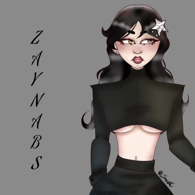 EVERSKIES ART COMMISSION - ibisPaint