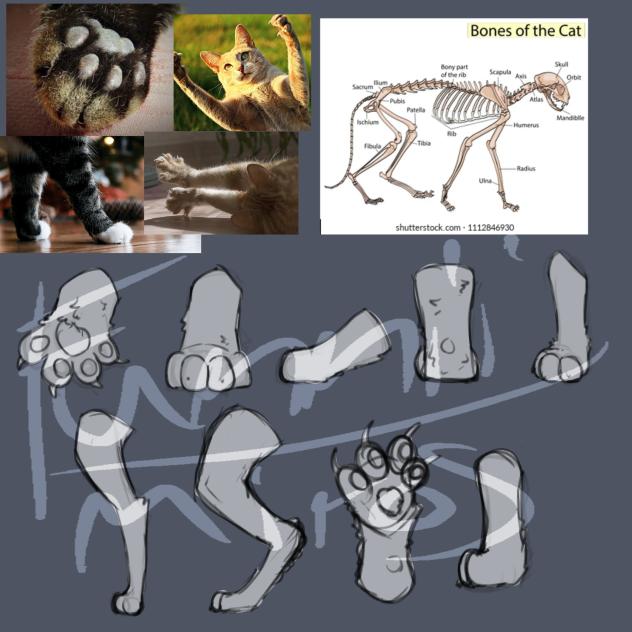 paws paws and more paws - ibisPaint